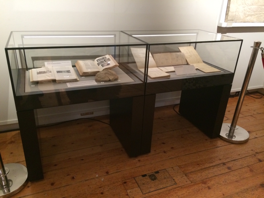 Museum Display Case